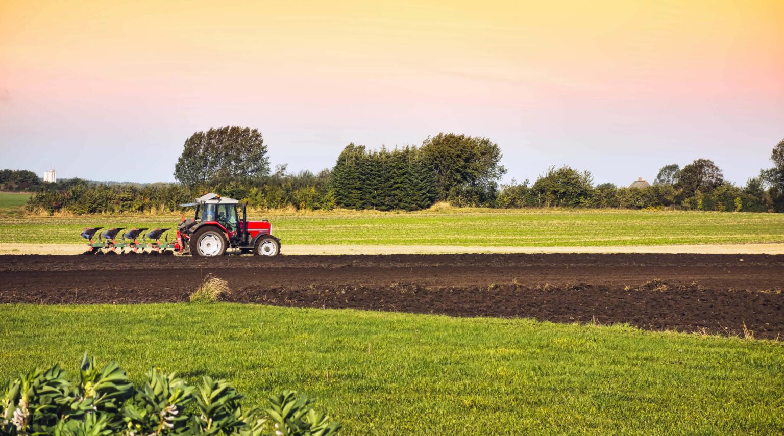 Pollution Prevention week | AWSM Farming