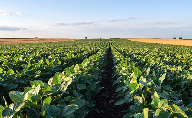 AWSM Farming Services & Solutions