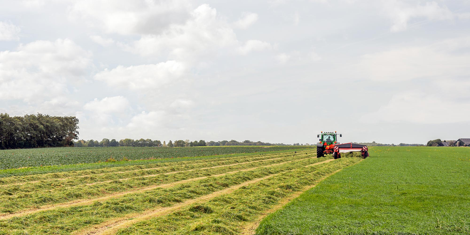 Farm Management Services | Drive Profits & Farm Productivity